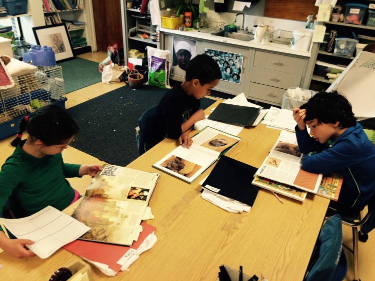 Putting Principles of The Learning In Depth Program (LiD) Into Practice ...