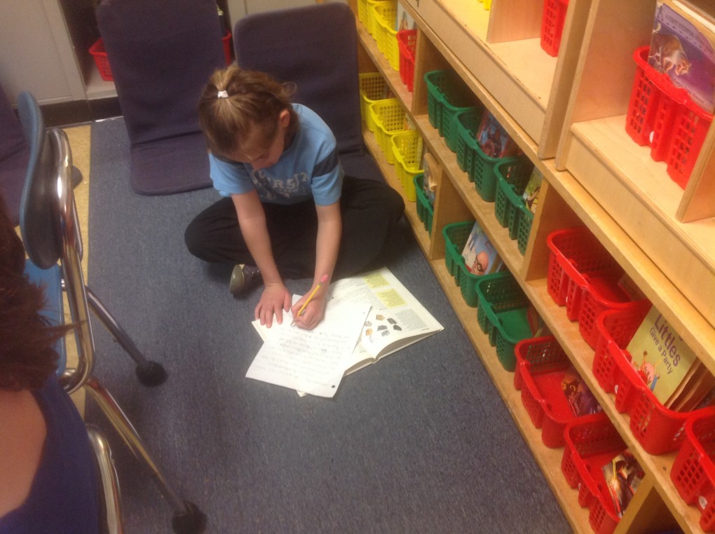 Putting Principles of The Learning In Depth Program (LiD) Into Practice – imaginED