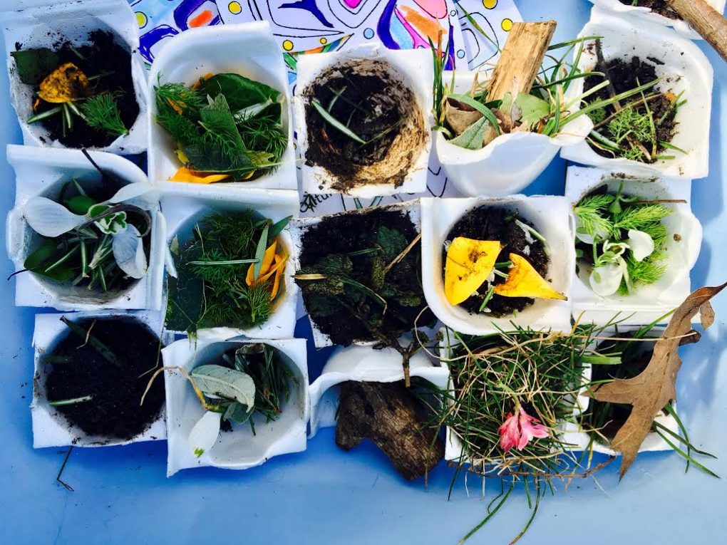 Activeness: Engaging The Physical Senses In The Natural World – imaginED