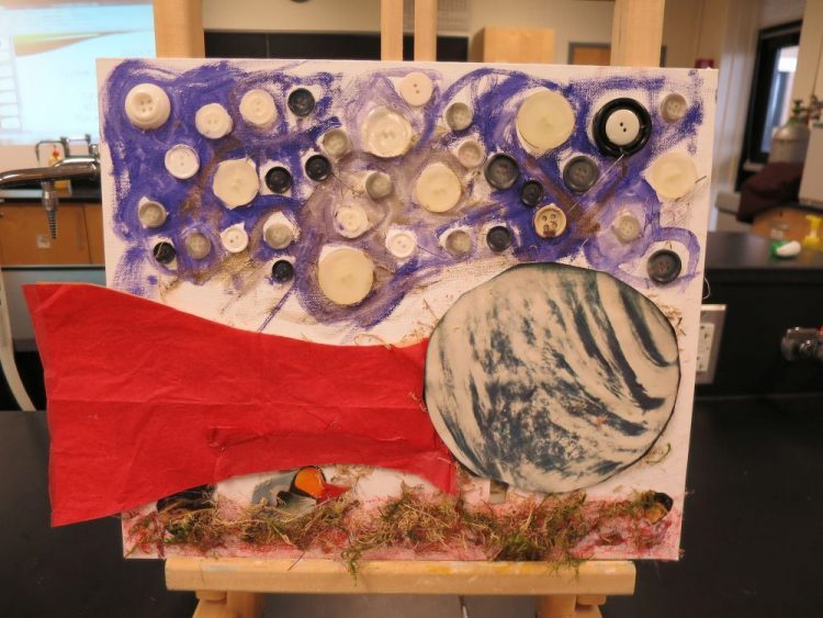 Incorporating Art In The Science Curriculum – imaginED