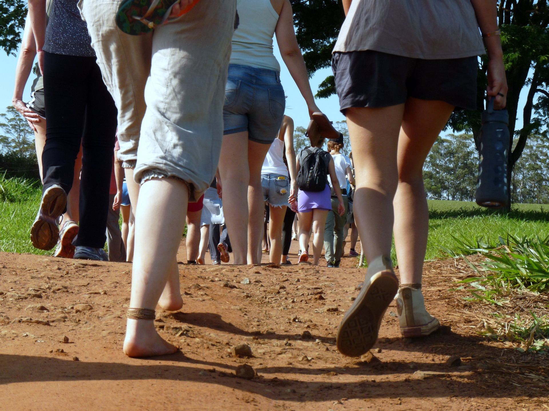 Deep Time Walk: A Powerful Tool To Connect With Life’s Story – imaginED