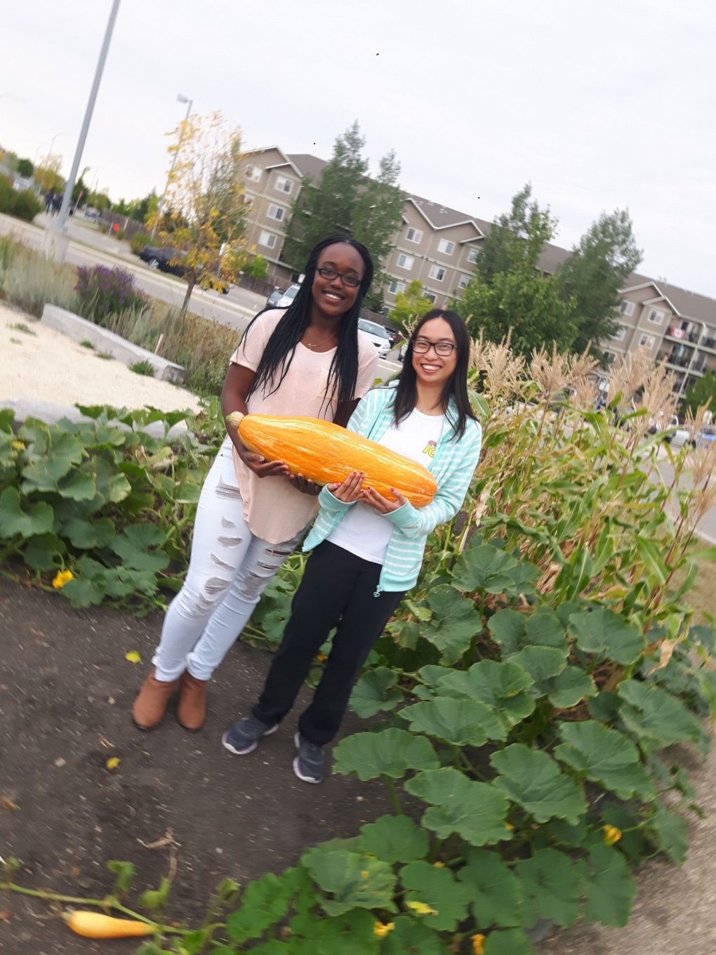 SLAM & The Story Of The Ancient Squash Seeds – imaginED