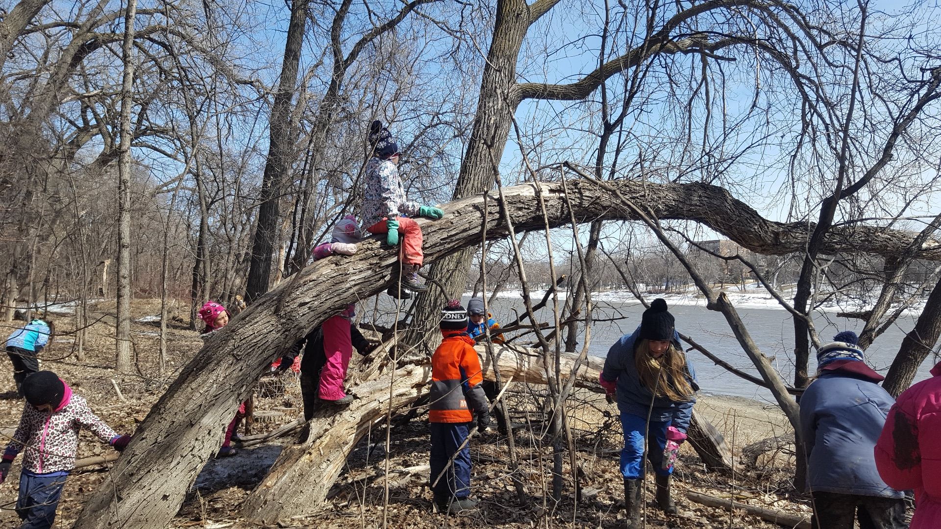 Outdoor Learning At Governor Semple School: Winter 2017 & Spring 2018 ...