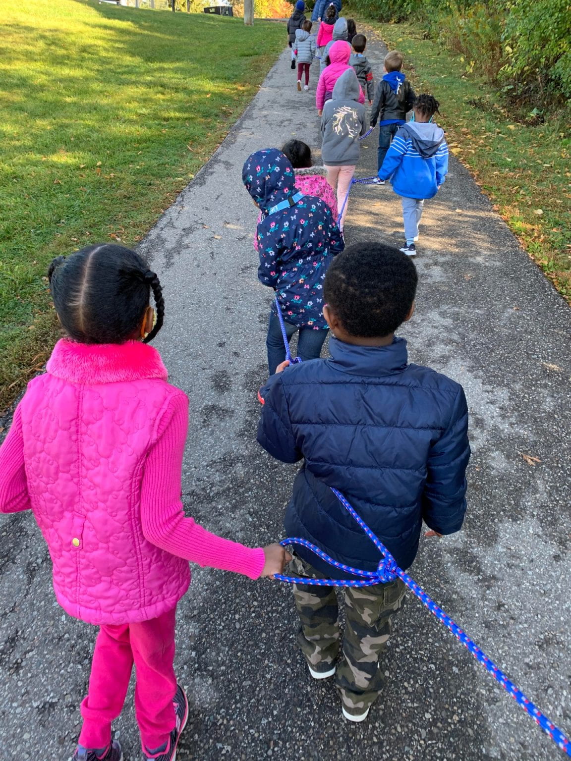 Hear From Teachers: Walking Curriculum Stories – imaginED