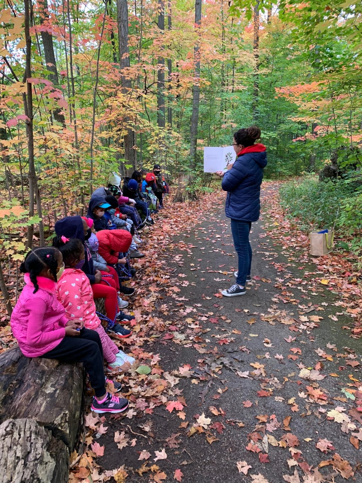 Hear From Teachers: Walking Curriculum Stories – imaginED