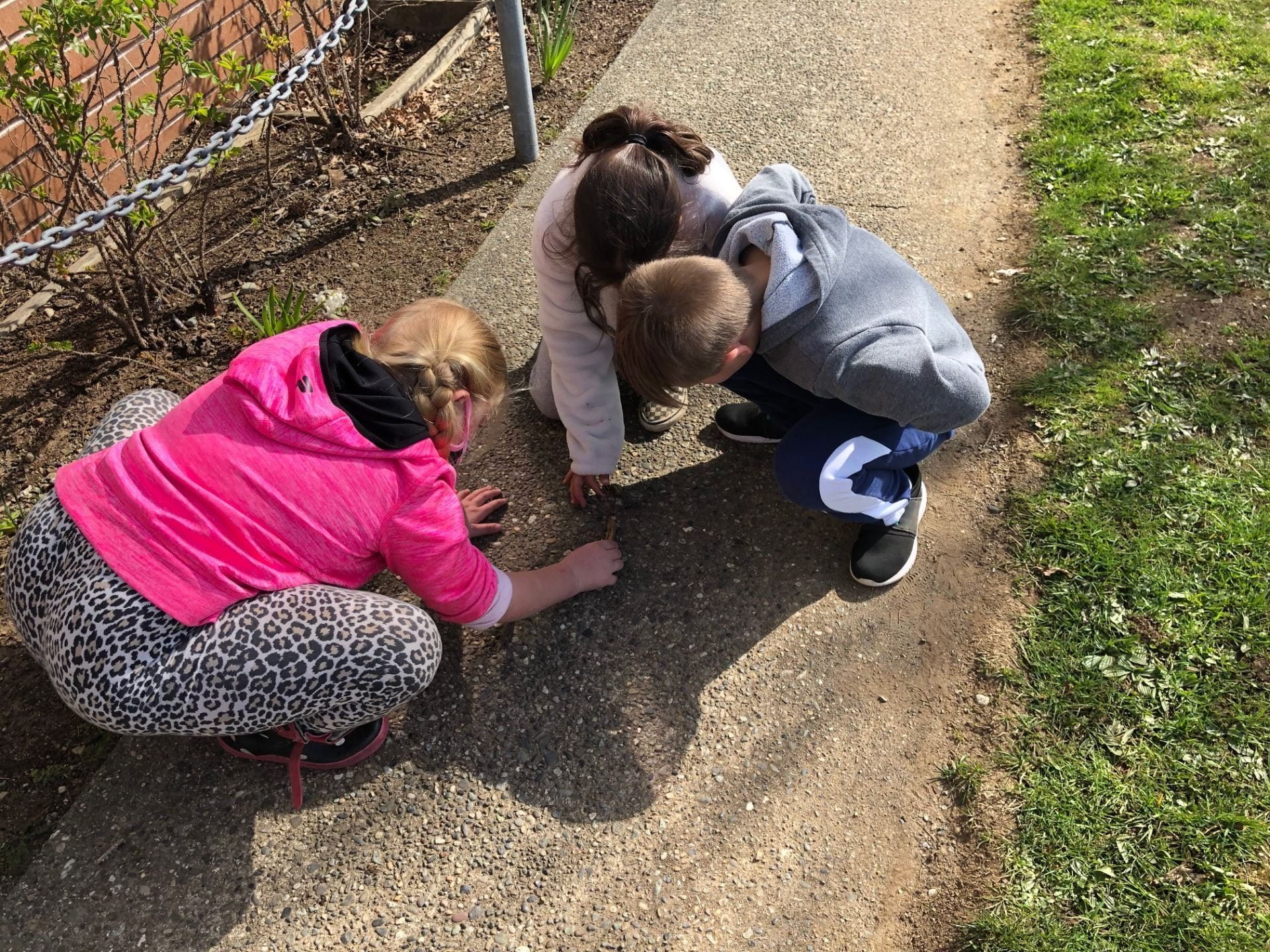 Connecting to Concrete: Breaking Through Urban Barriers with ...