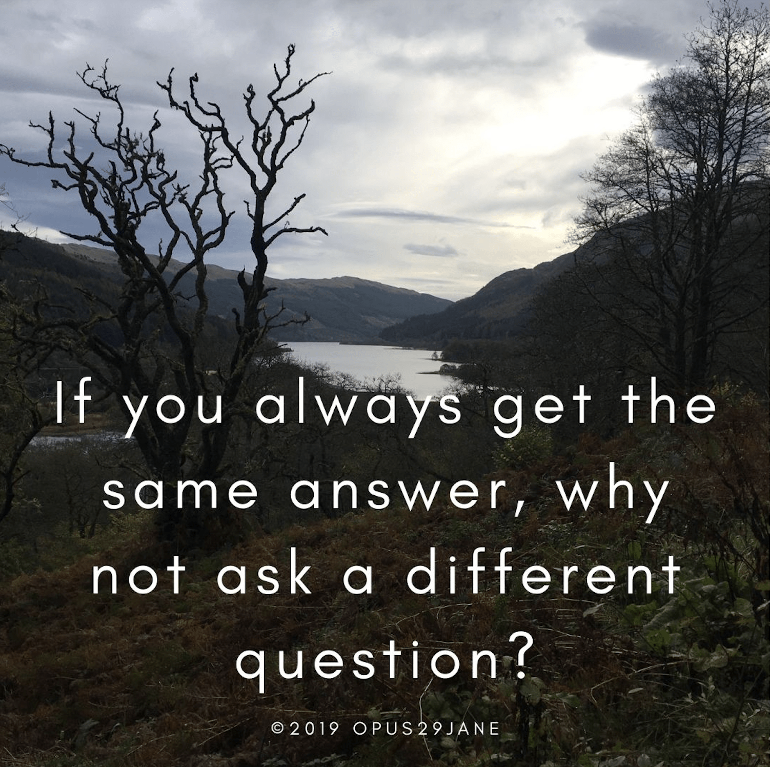 Leadership: Taking A Look Beyond The Obvious – imaginED